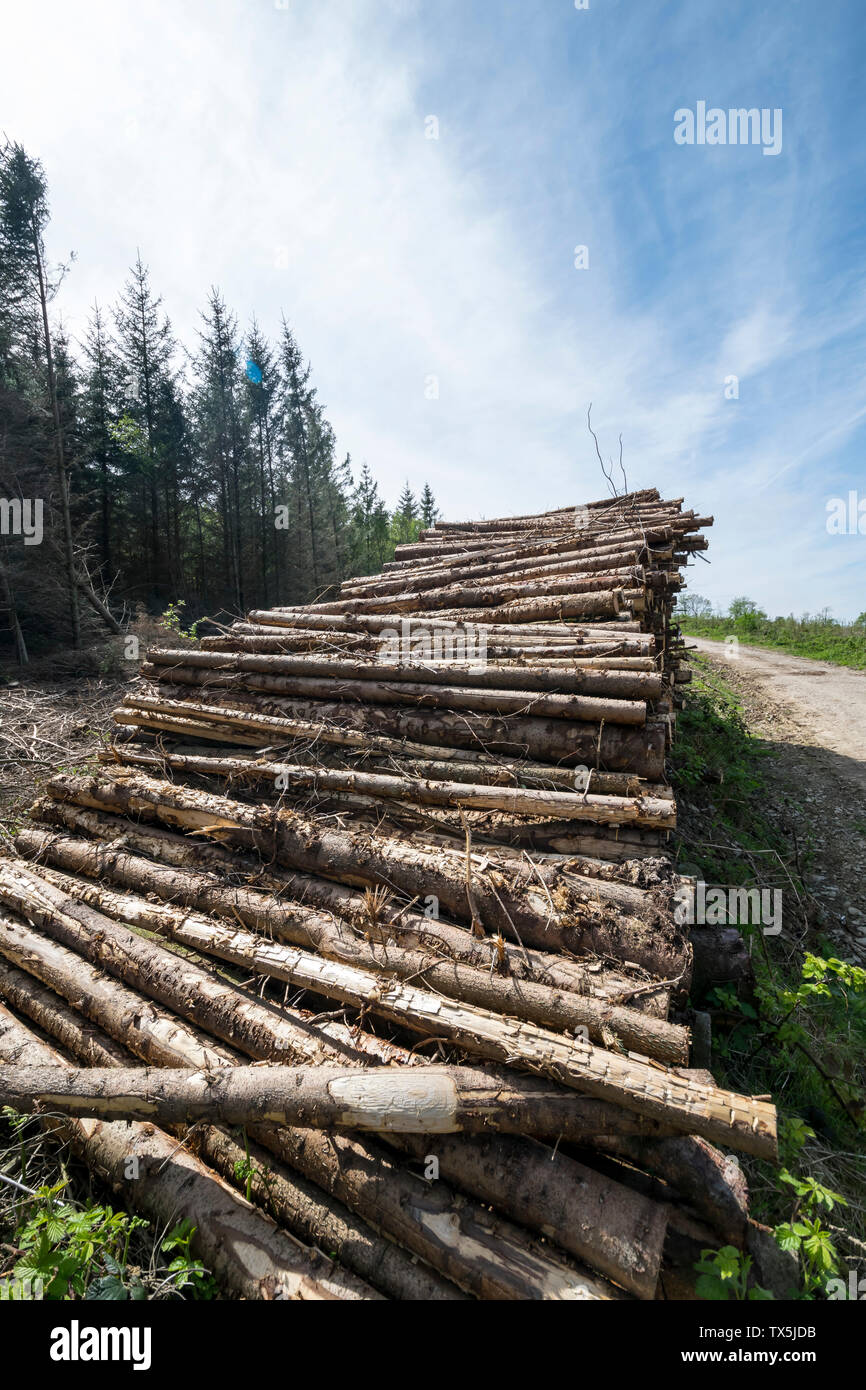 Woods logging hi-res stock photography and images - Alamy