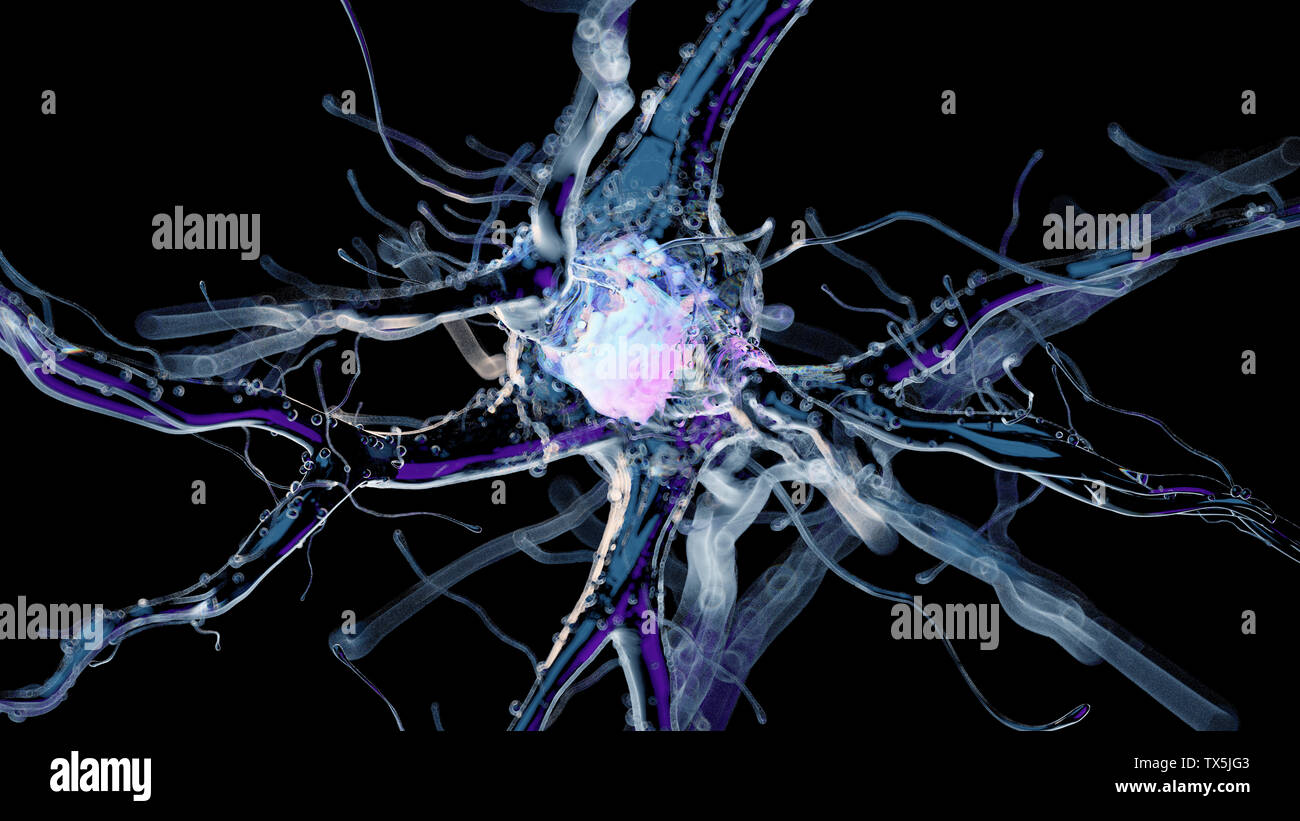3d rendered medically accurate illustration of a human nerve cell Stock ...