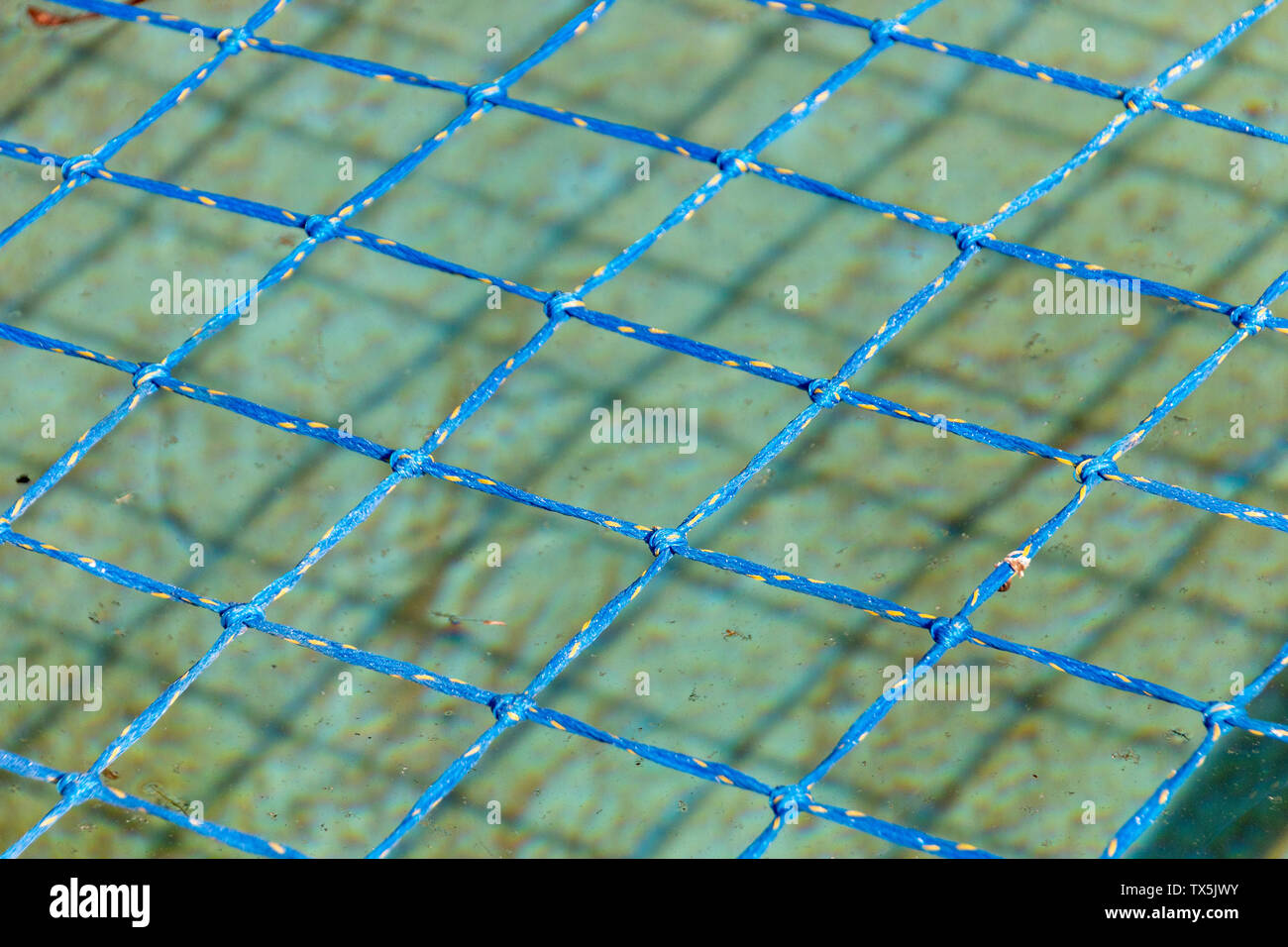 A close up of a blue fiber pool net covering a outdoor pool Stock Photo ...