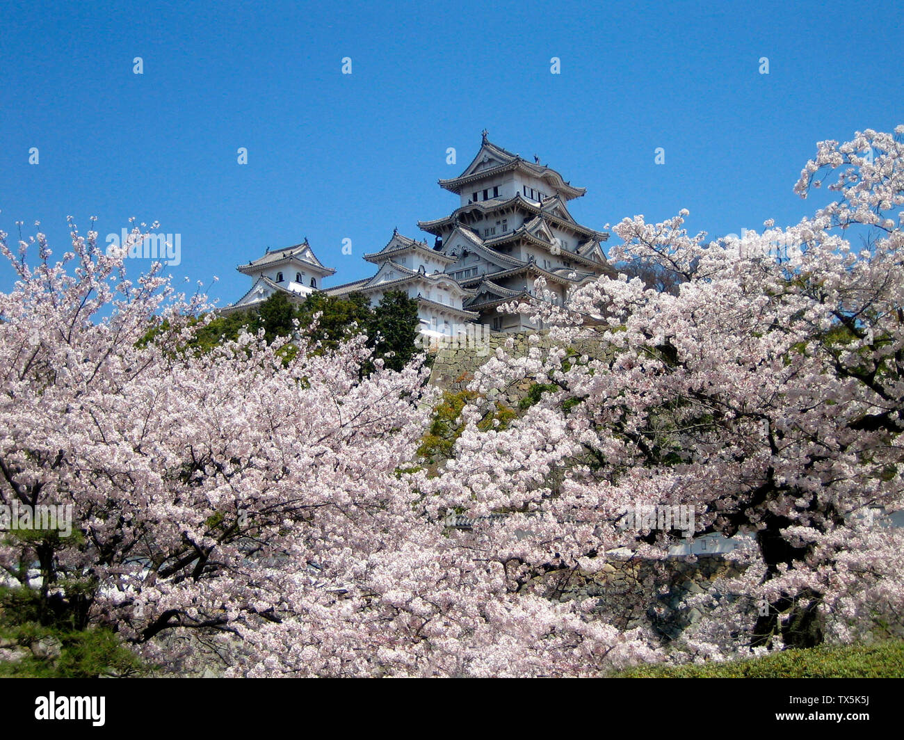 Ae oeae oeae hi-res stock photography and images - Alamy