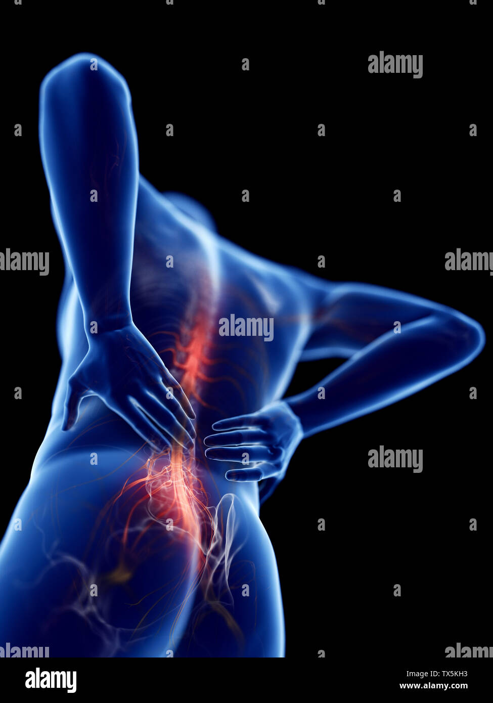 3d rendered illustration of a man having backache Stock Photo - Alamy