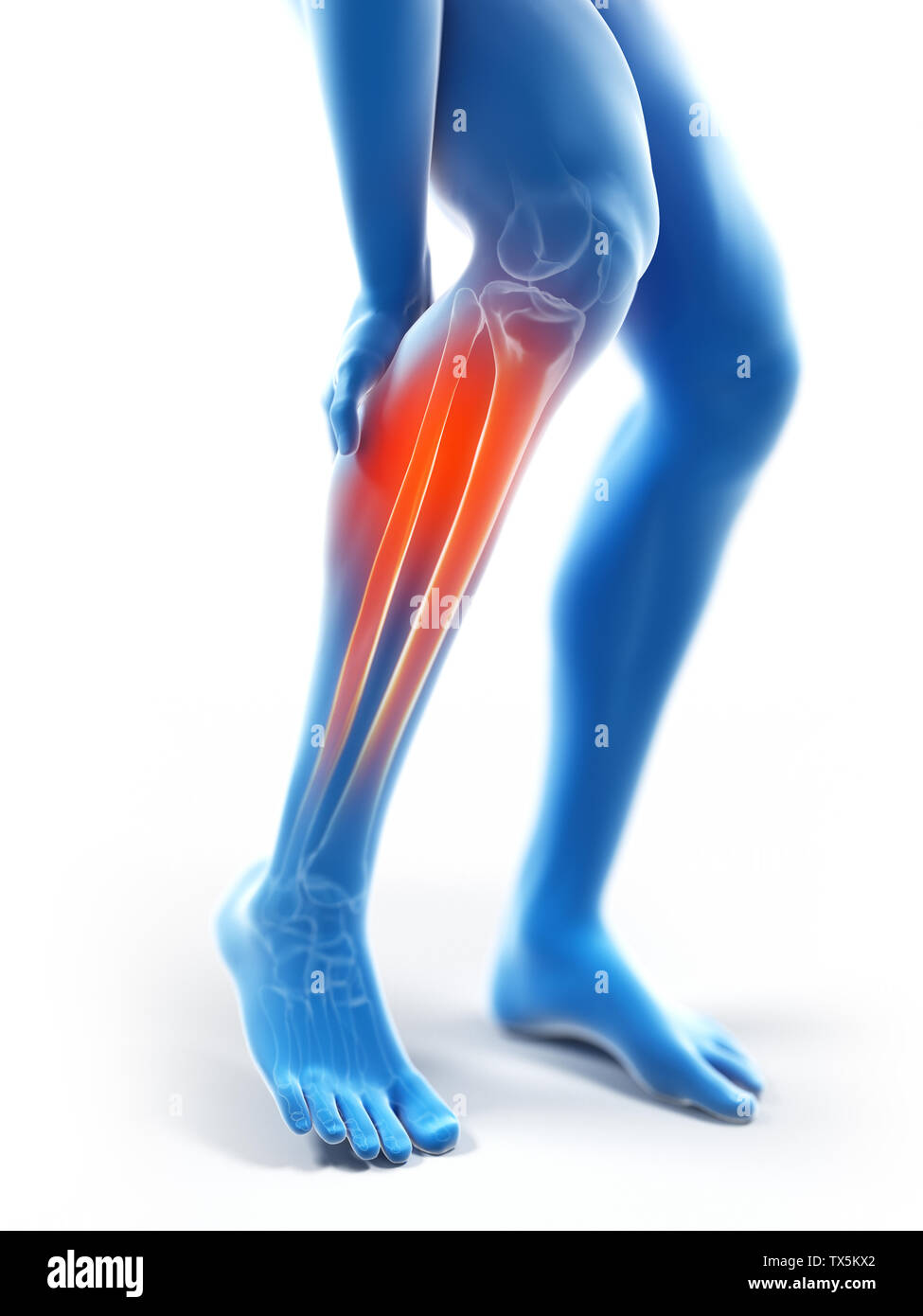 3d rendered illustration of a man having a painful calf Stock Photo - Alamy