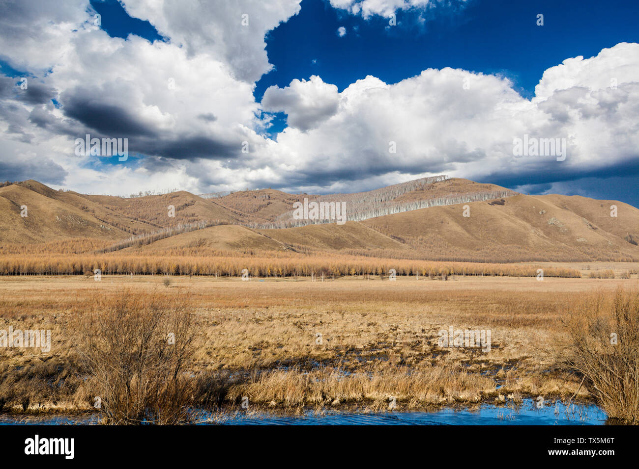 The scenery of Alshan, Inner Mongolia Stock Photo - Alamy