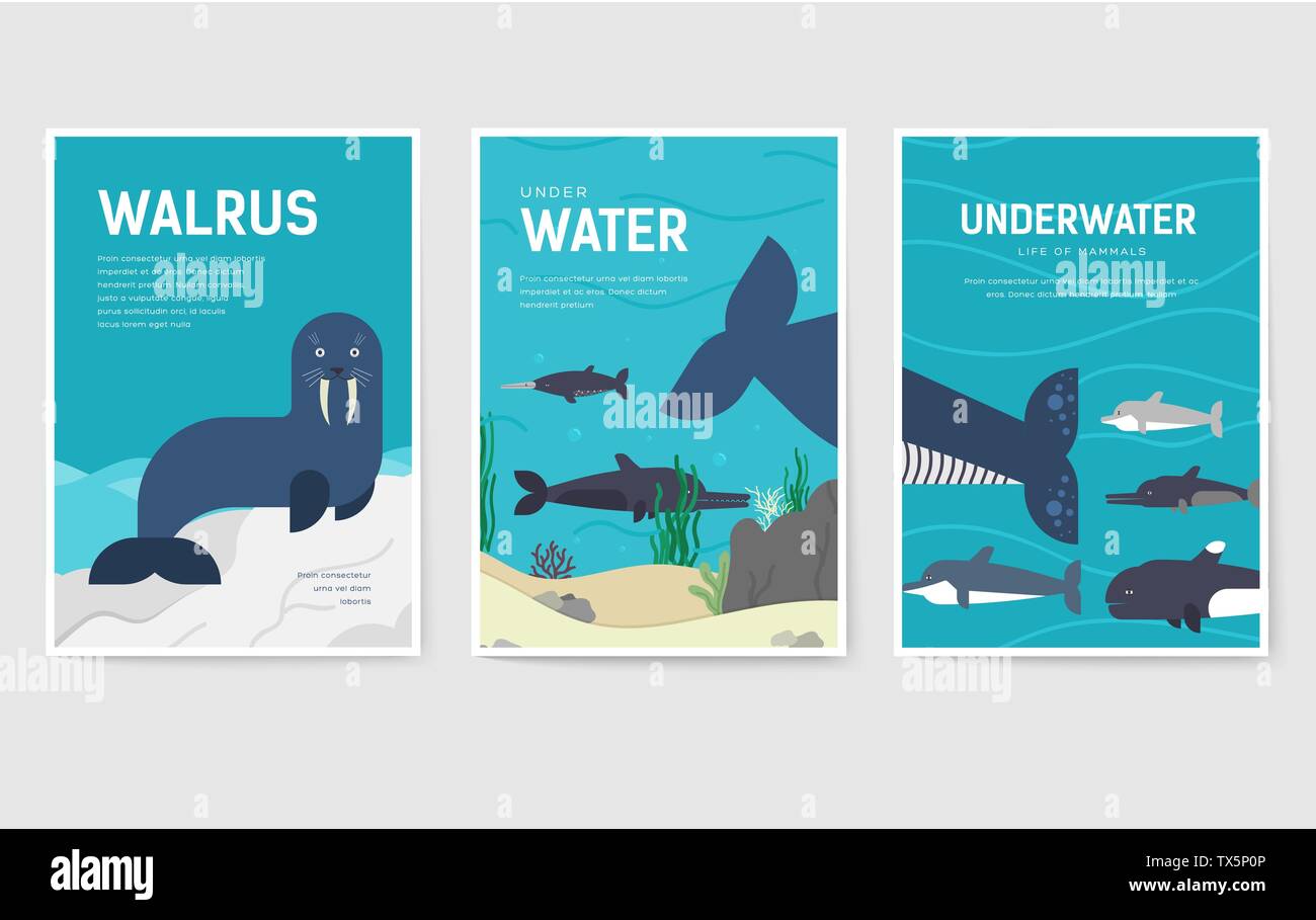 Set of Sea mammals pattern concept. Art animal, magazine, book, poster ...