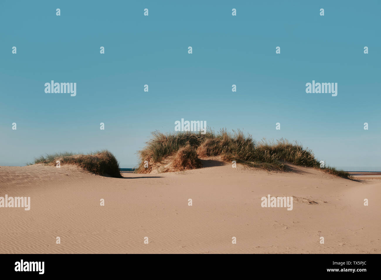 Holkham beach, norfolk uk hi-res stock photography and images - Alamy