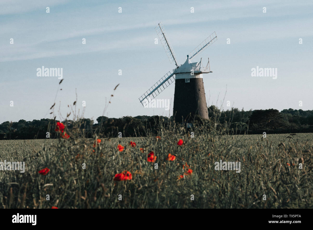 Windmill in Norfolk Stock Photo - Alamy