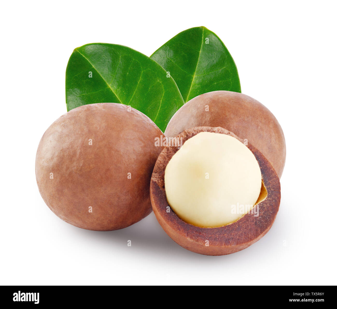 Whole and open australian macadamia nut with the two green leaf Stock ...