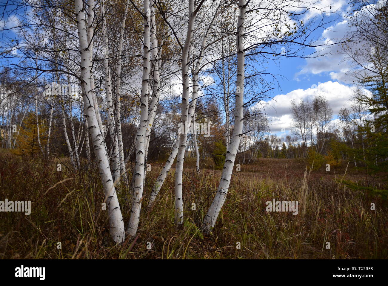 Saihan dam scenery Stock Photo - Alamy