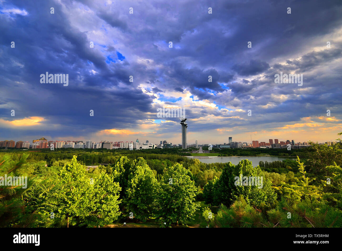 City of the Forest Stock Photo - Alamy