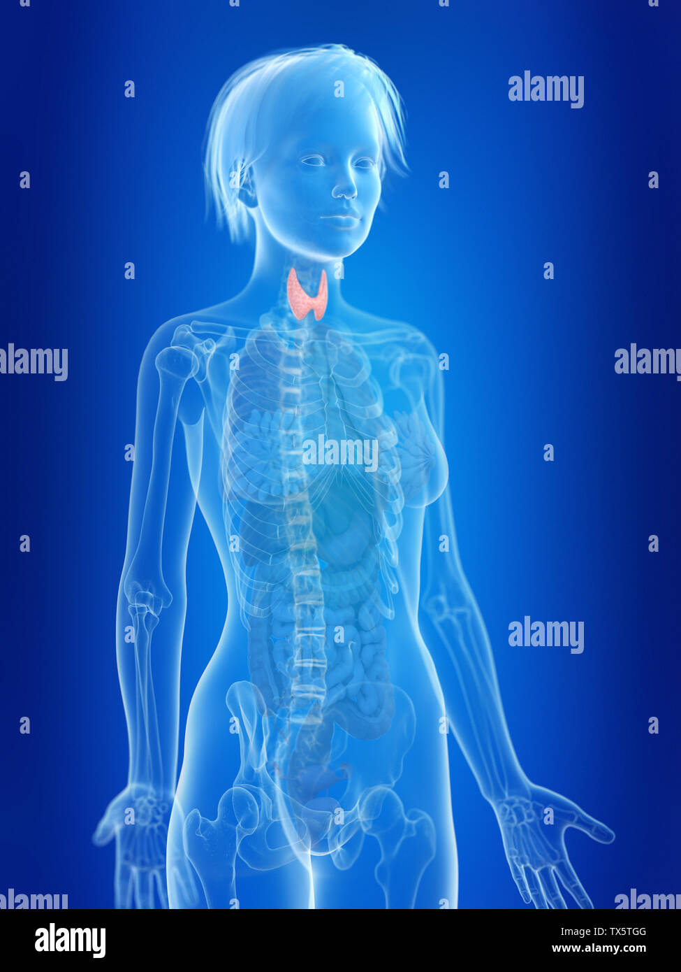 Goiter woman hi-res stock photography and images - Alamy