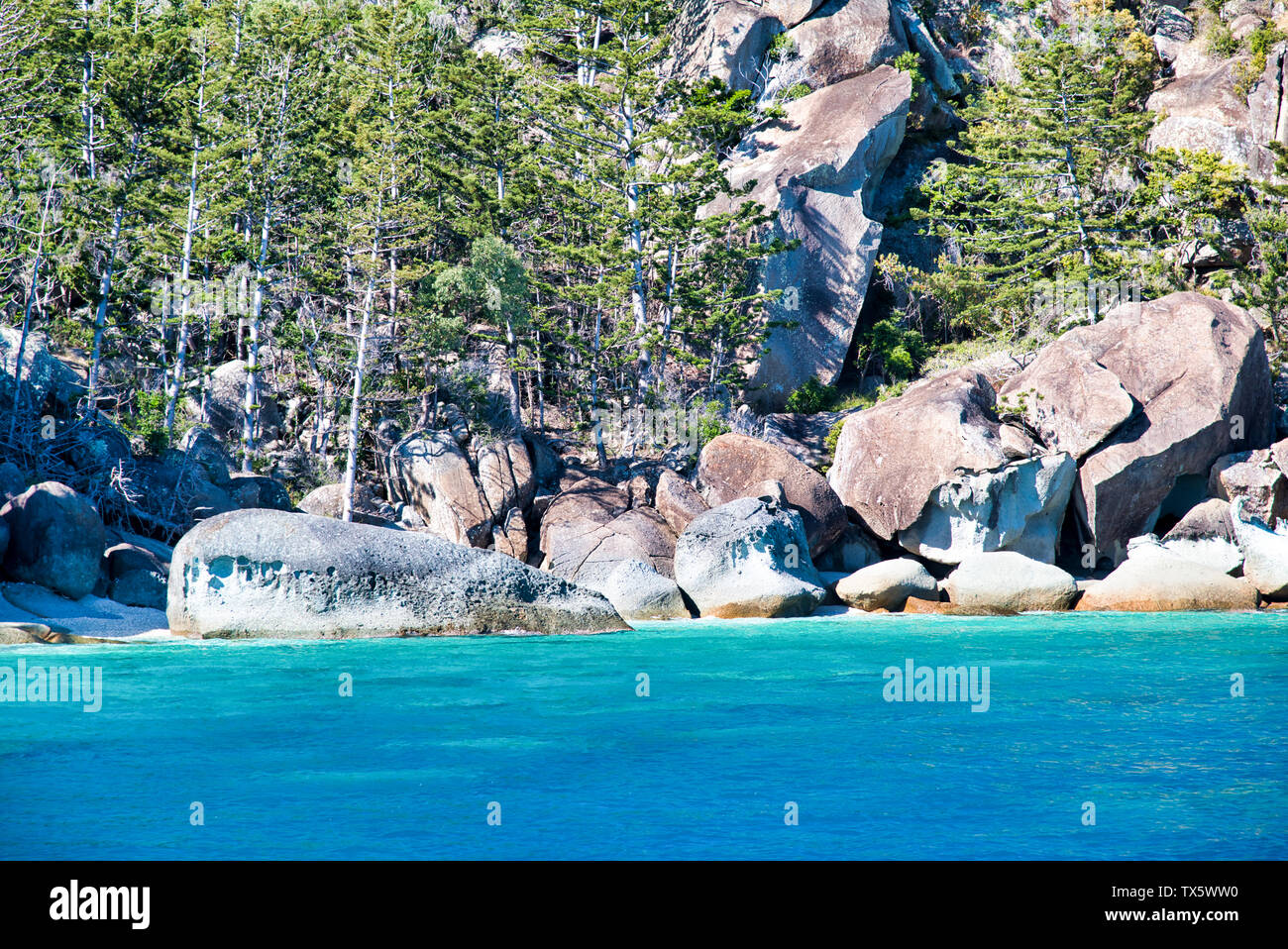 Tropical island vegetation against blue ocean Stock Photo - Alamy