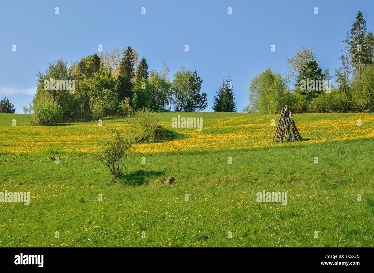 Polish Rural Landscape High Resolution Stock Photography and Images - Alamy