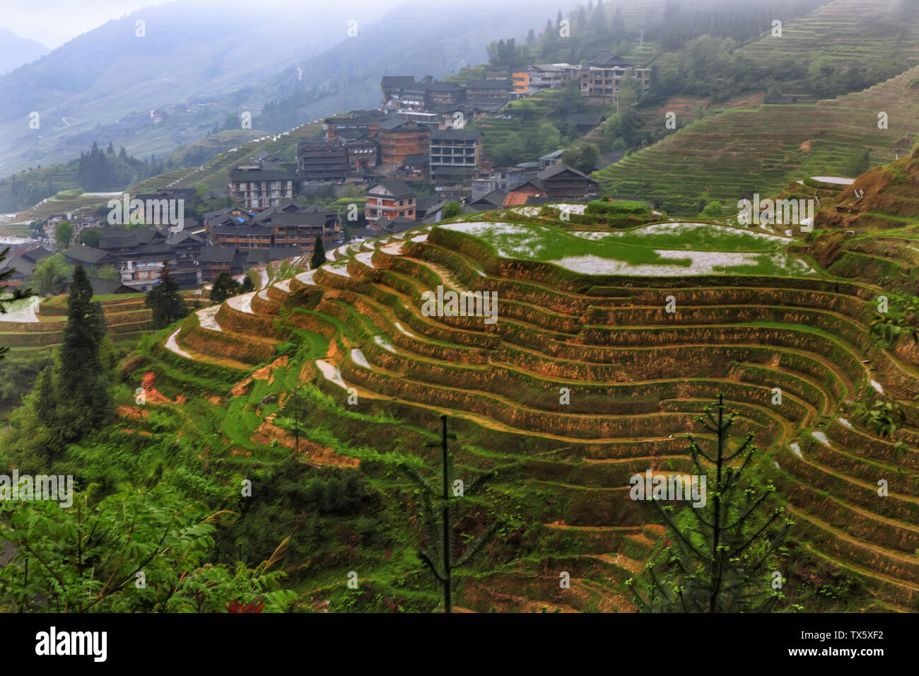 Terraced courtyards hi-res stock photography and images - Alamy