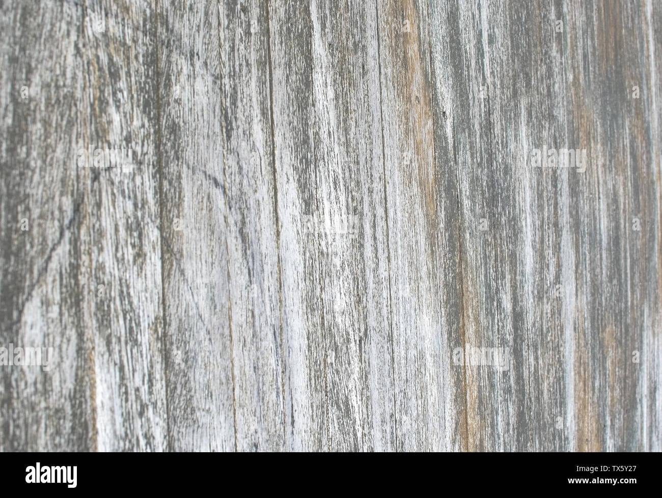 Rustic brown boardwalk wooden jetty wall with gray and brown textured ...