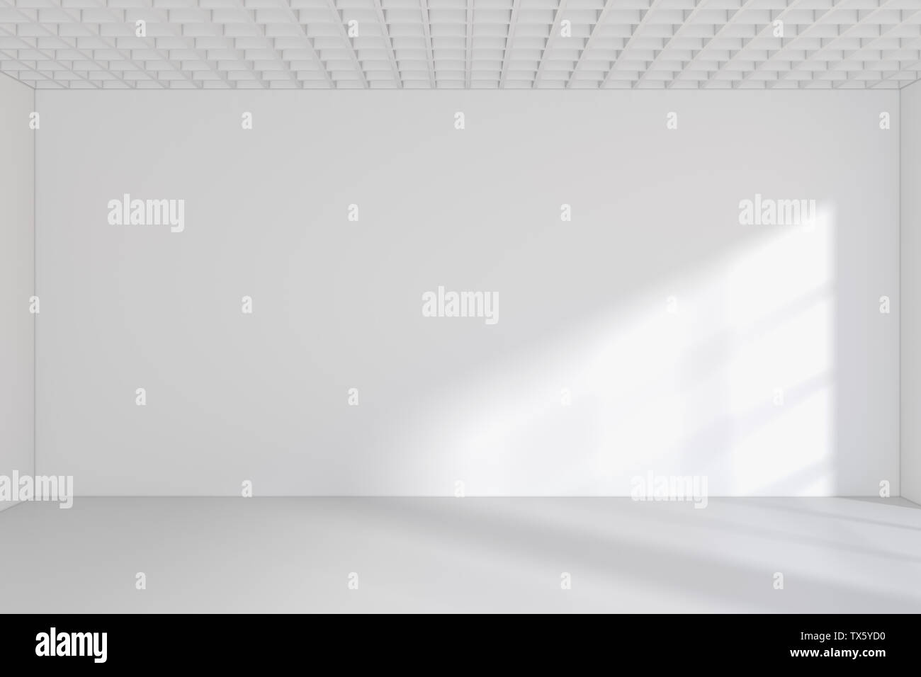 Empty room with sun light on wall. 3d rendering Stock Photo - Alamy