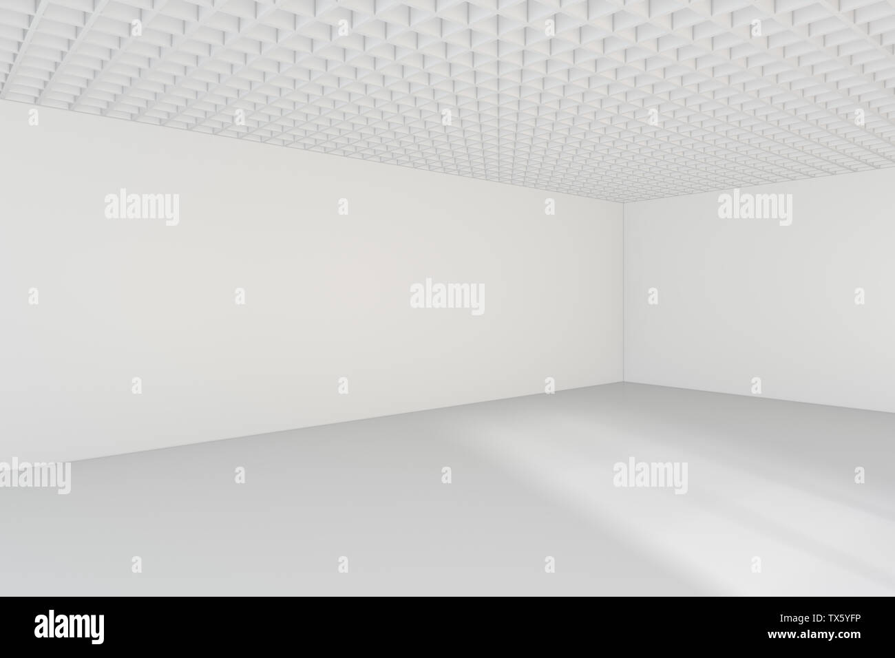 Empty room with sun light on floor. 3d rendering Stock Photo - Alamy