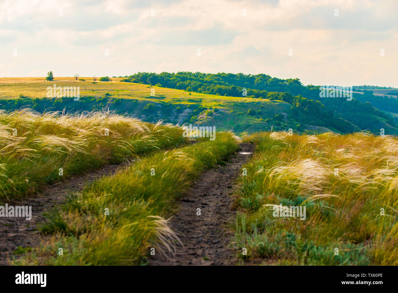 Scenic countryside landscape with rural dirt road with blue sky Stock ...