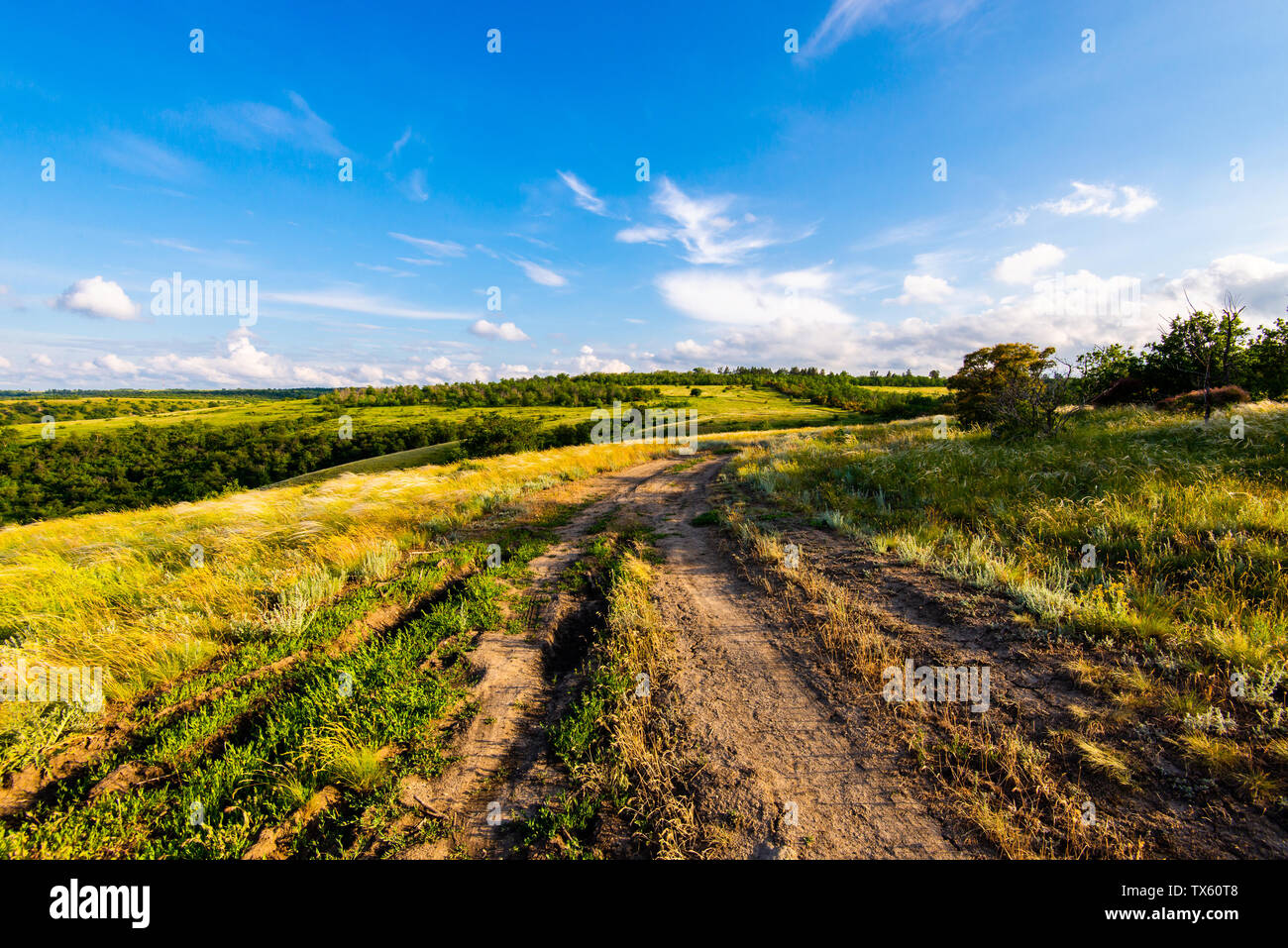 Scenic countryside landscape with rural dirt road with blue sky Stock ...