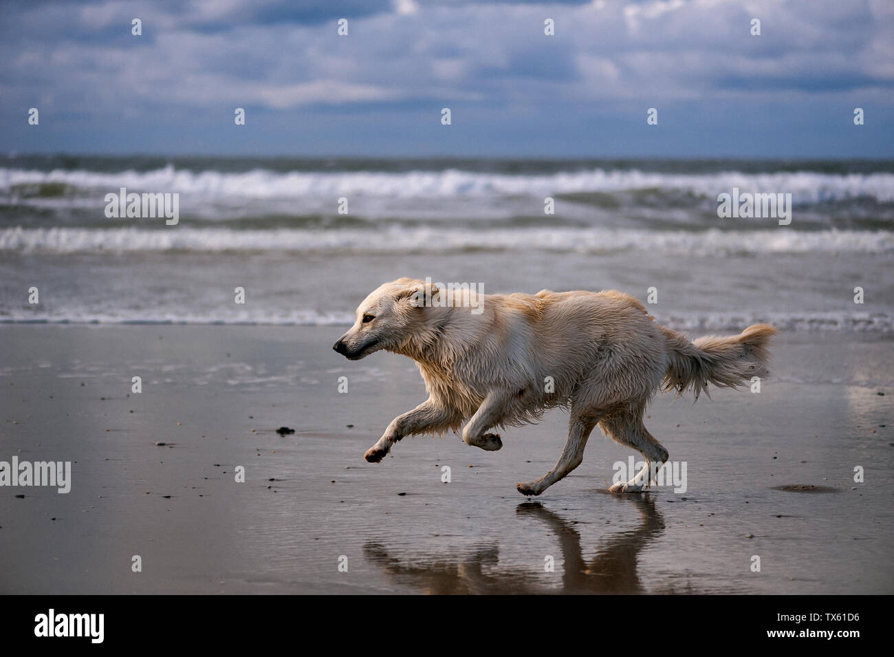 Running seawater hi-res stock photography and images - Alamy