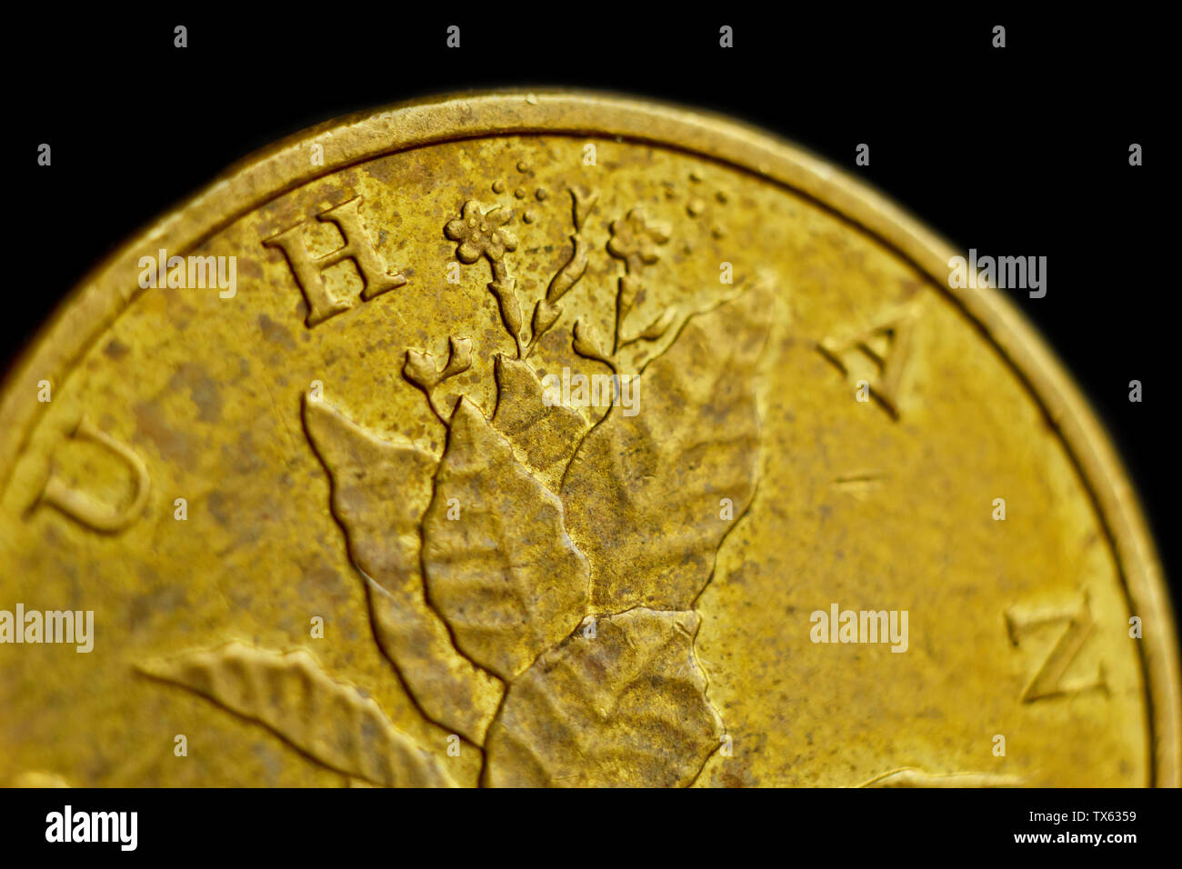 Coin ten Croatian lipa macro isolated on black background. Detail of ...