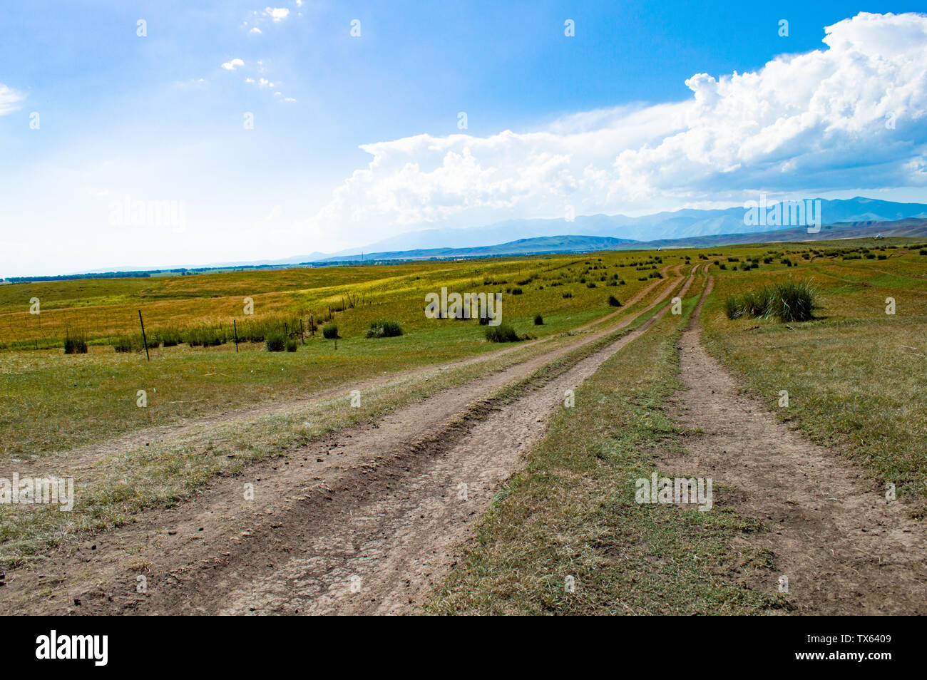 Tire marks on the prairie / roads Stock Photo - Alamy
