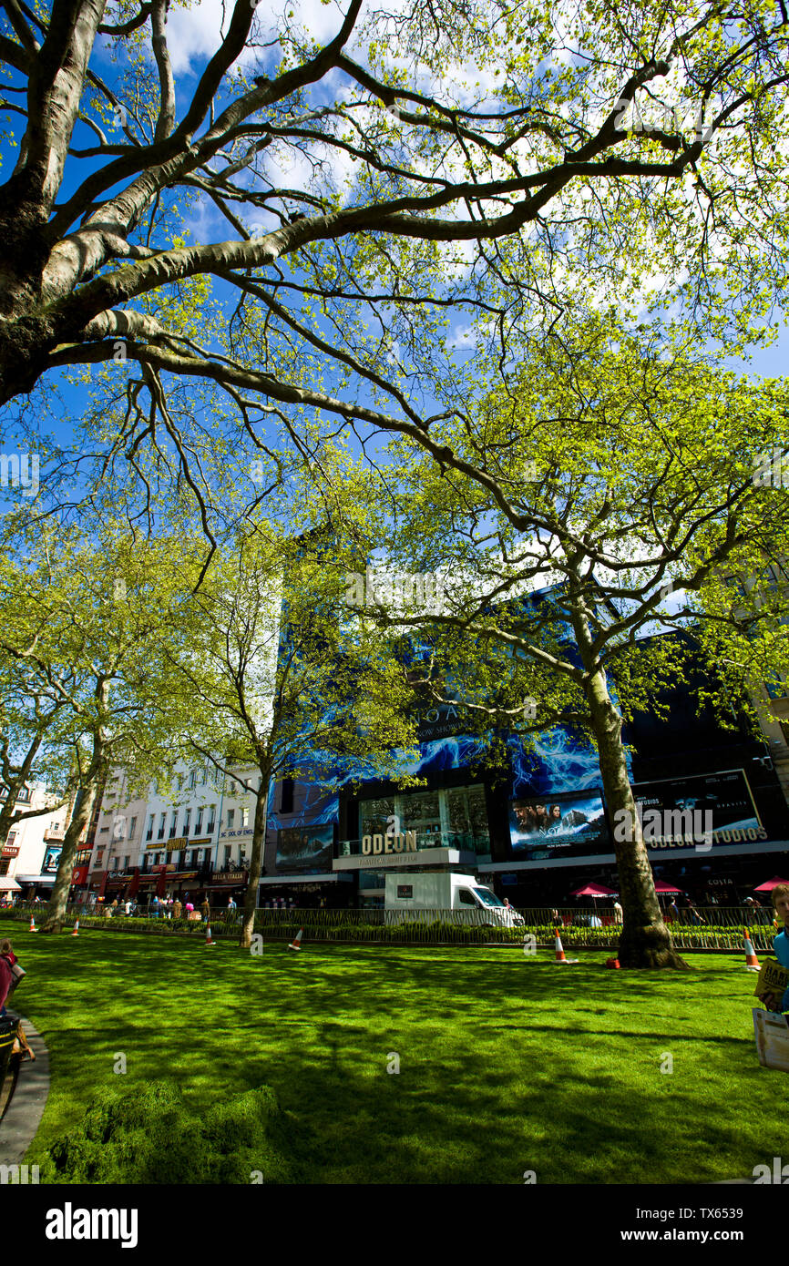 Tree skimming hi-res stock photography and images - Alamy