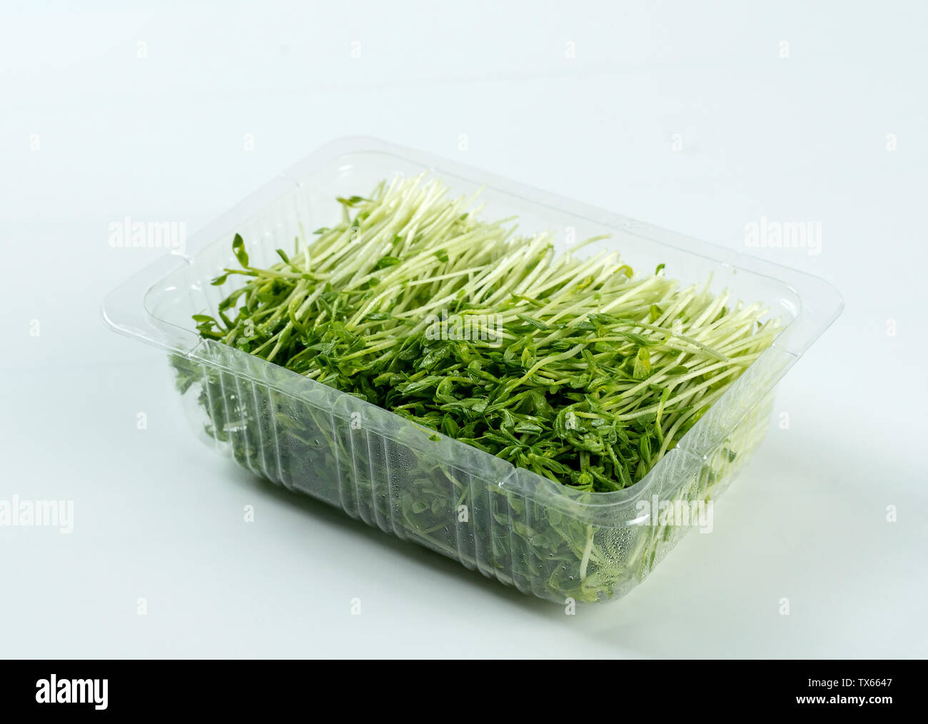Fresh vegetable sprouts Stock Photo - Alamy