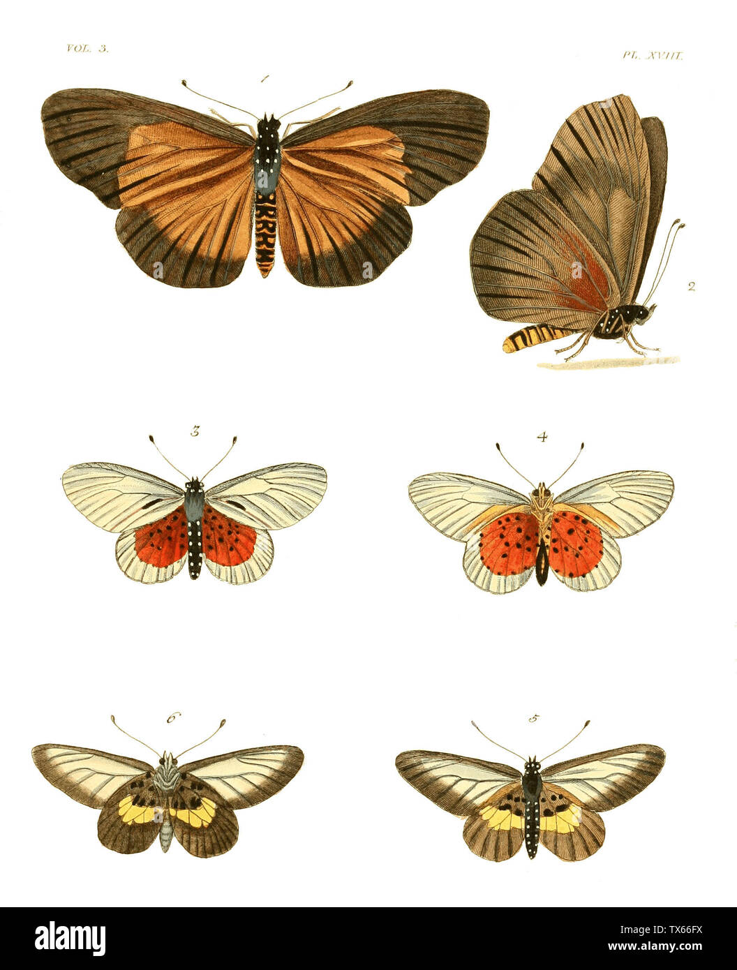 John xviii Cut Out Stock Images & Pictures - Alamy