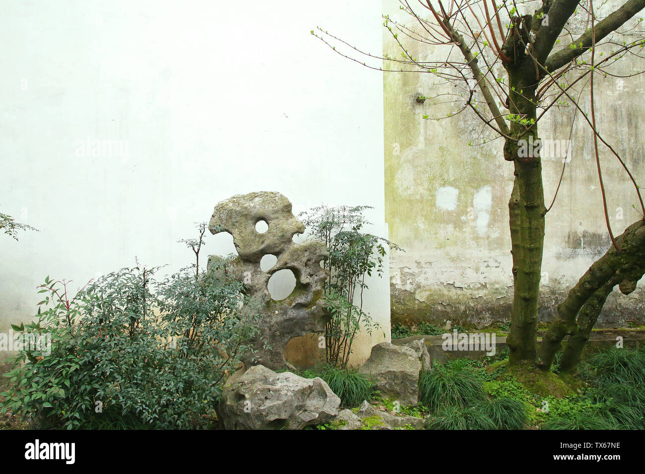 Spring in the gardens of Suzhou Stock Photo - Alamy