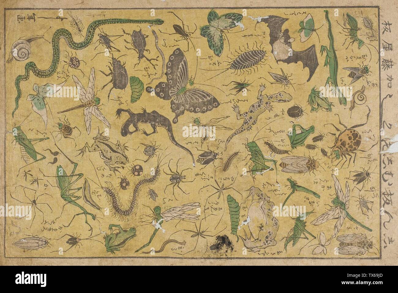 24 8 16 5 3 2 cm hi-res stock photography and images - Alamy