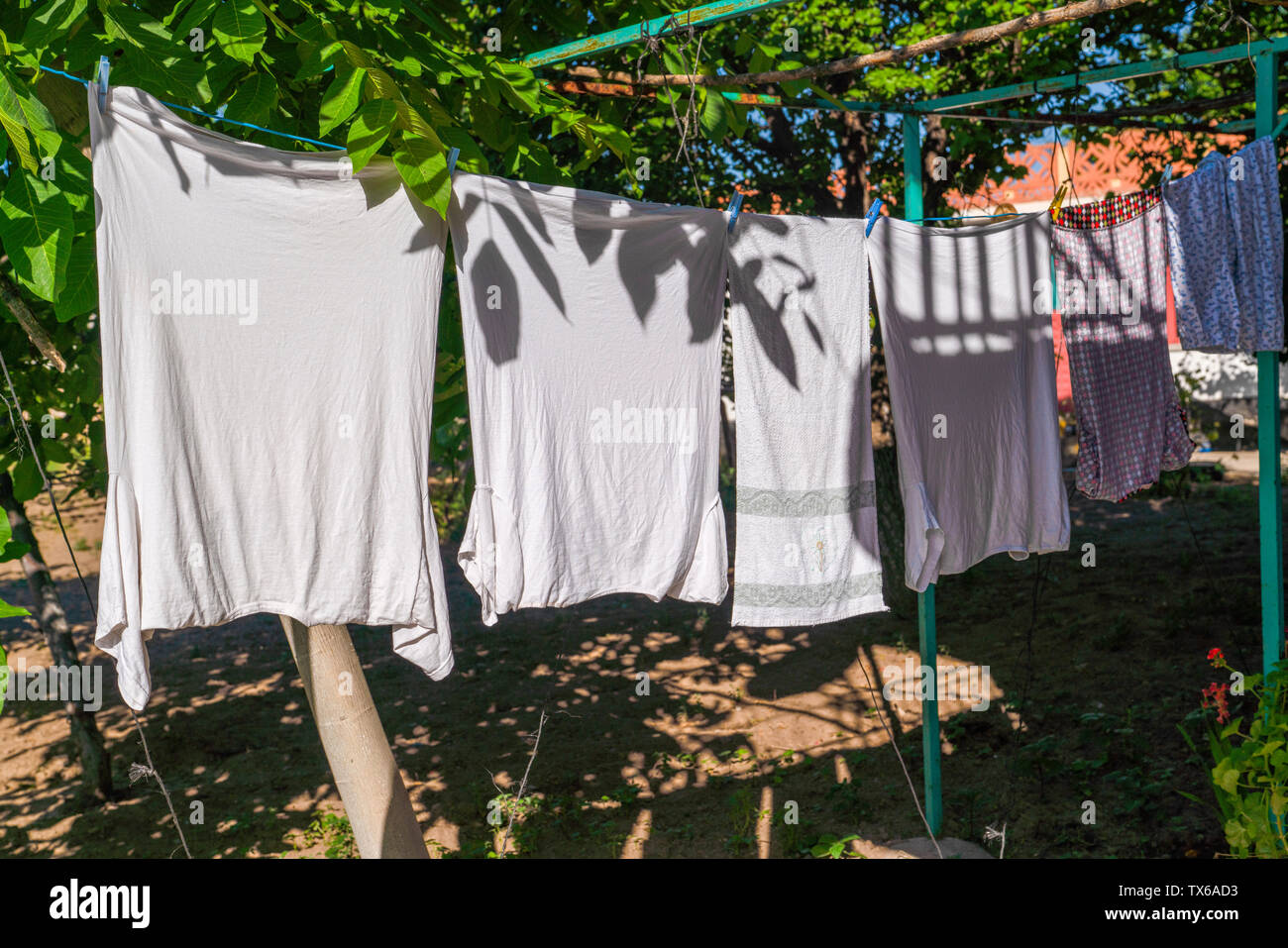 Laundry hanging out to dry outdoors in summer under sun, under tree ...