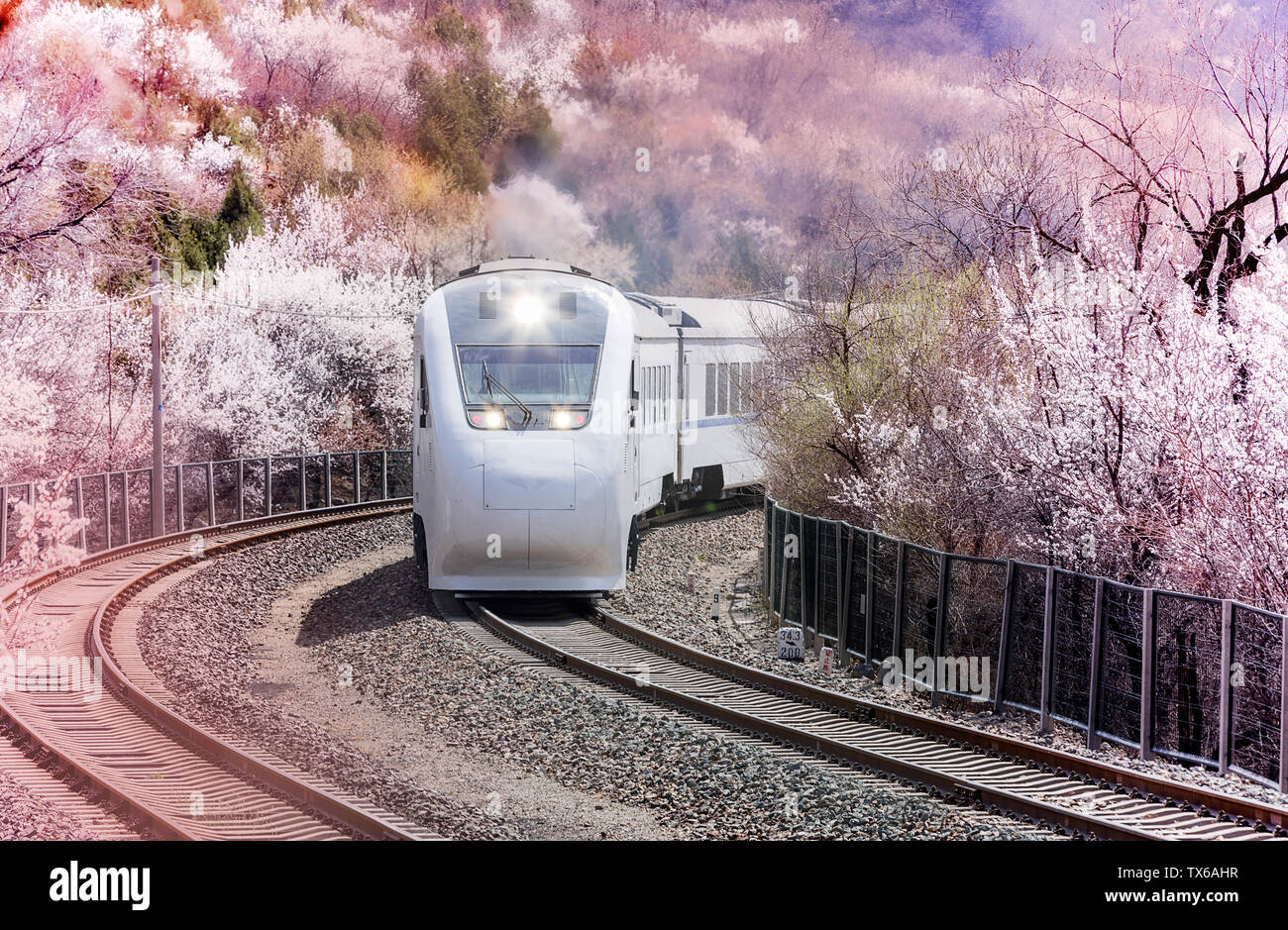 Spring train, Beijing Juyongguan train Stock Photo - Alamy