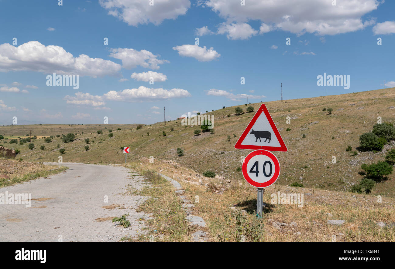 Close-up of cattle crossing traffic sign on a roadway with rocky ...
