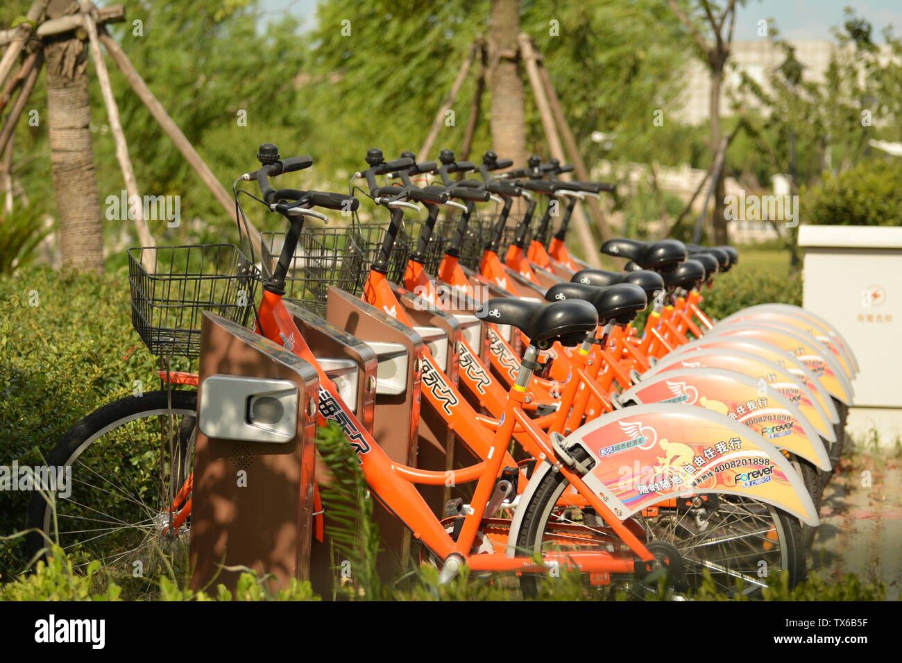 Free bicycles on the streets of the city Stock Photo - Alamy