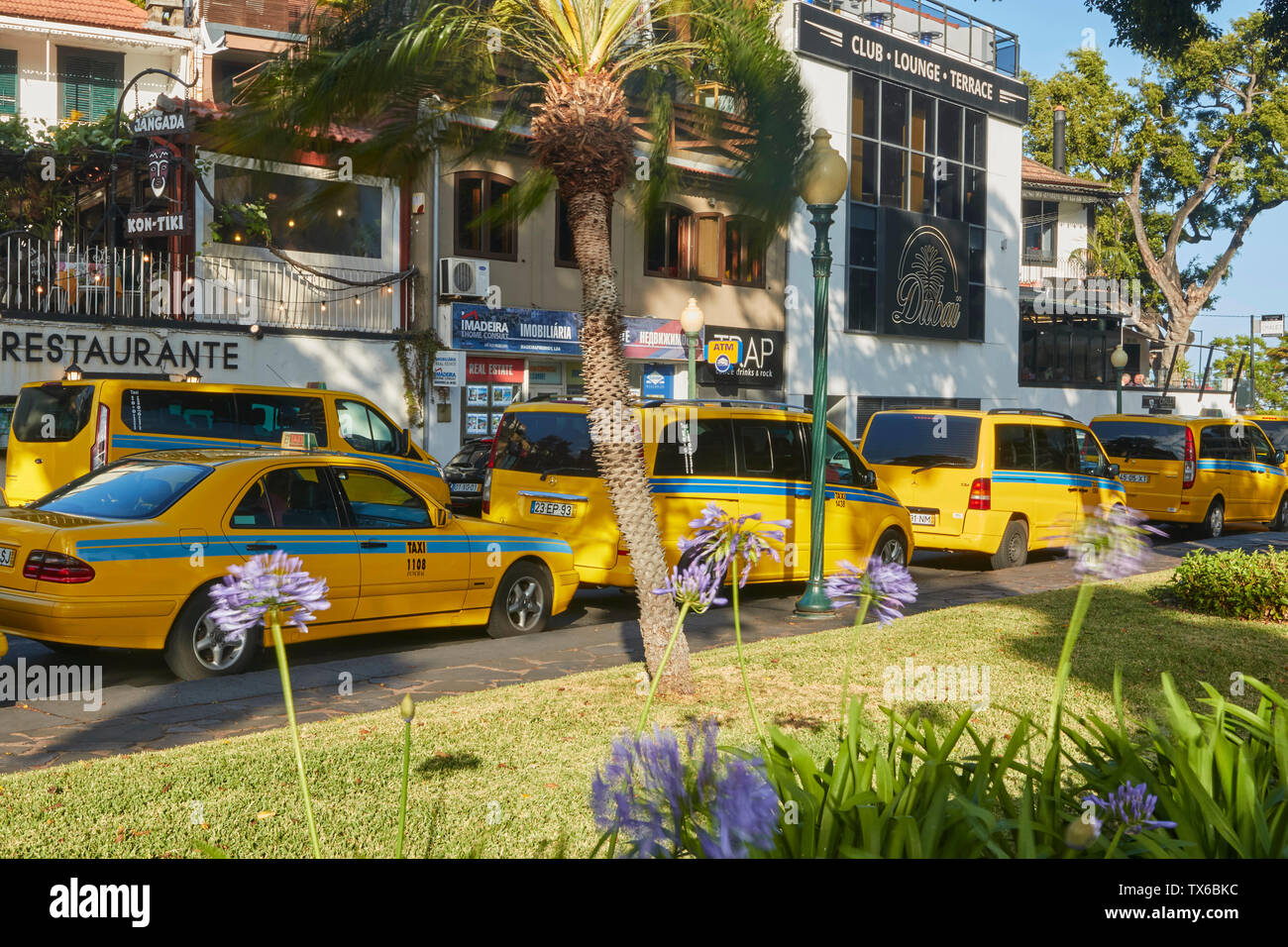 Funchal taxi rank hi-res stock photography and images - Alamy