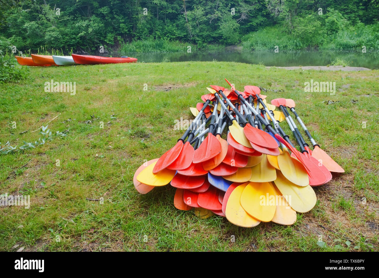 the oars from the canoes on the shore, preparing for the Canoeing Stock ...
