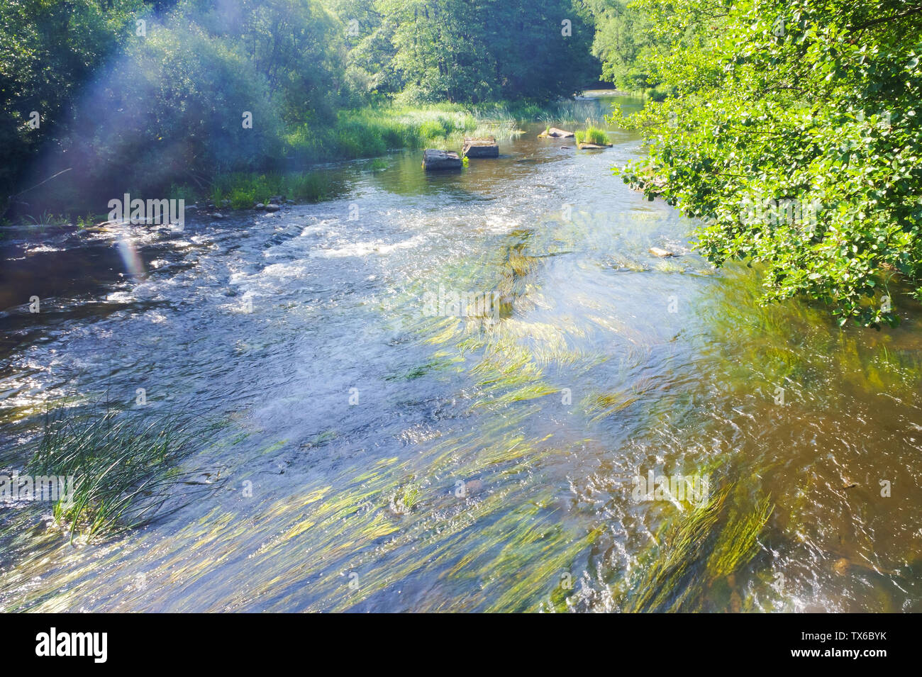 shallow roaring river, shallow clean river in summer Stock Photo - Alamy