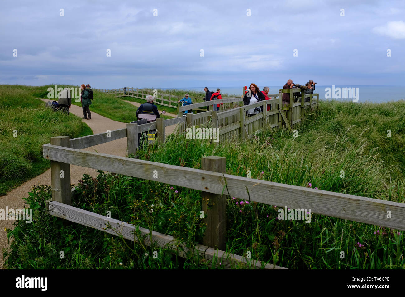 Bempton cliffs visitor centre hi-res stock photography and images - Alamy
