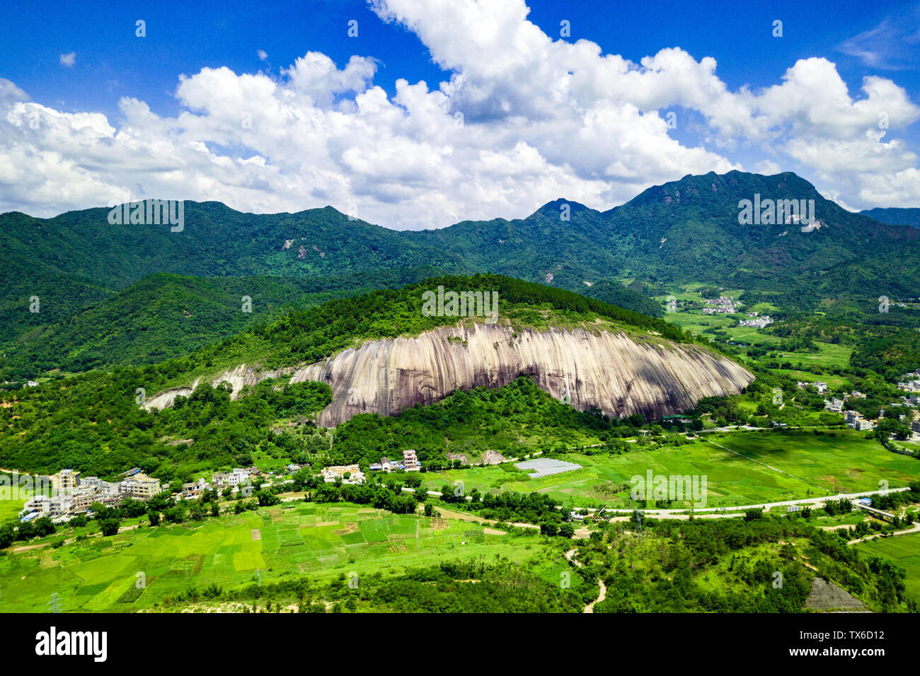 Spotted seal china hi-res stock photography and images - Alamy