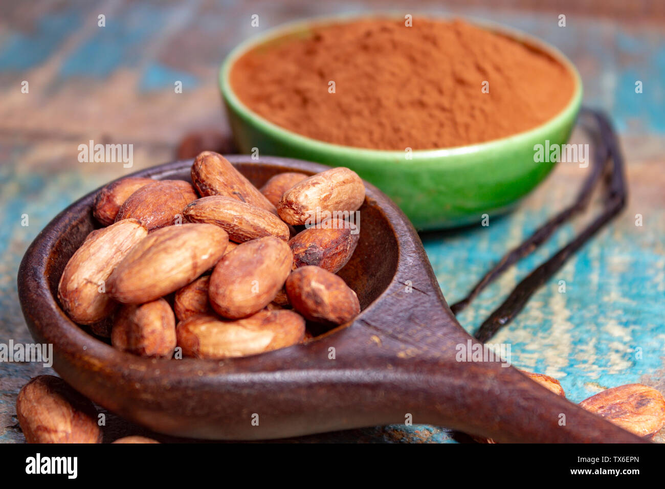 Cocoa or cacao beans and Madagascar vanilla stick, used in hot ...