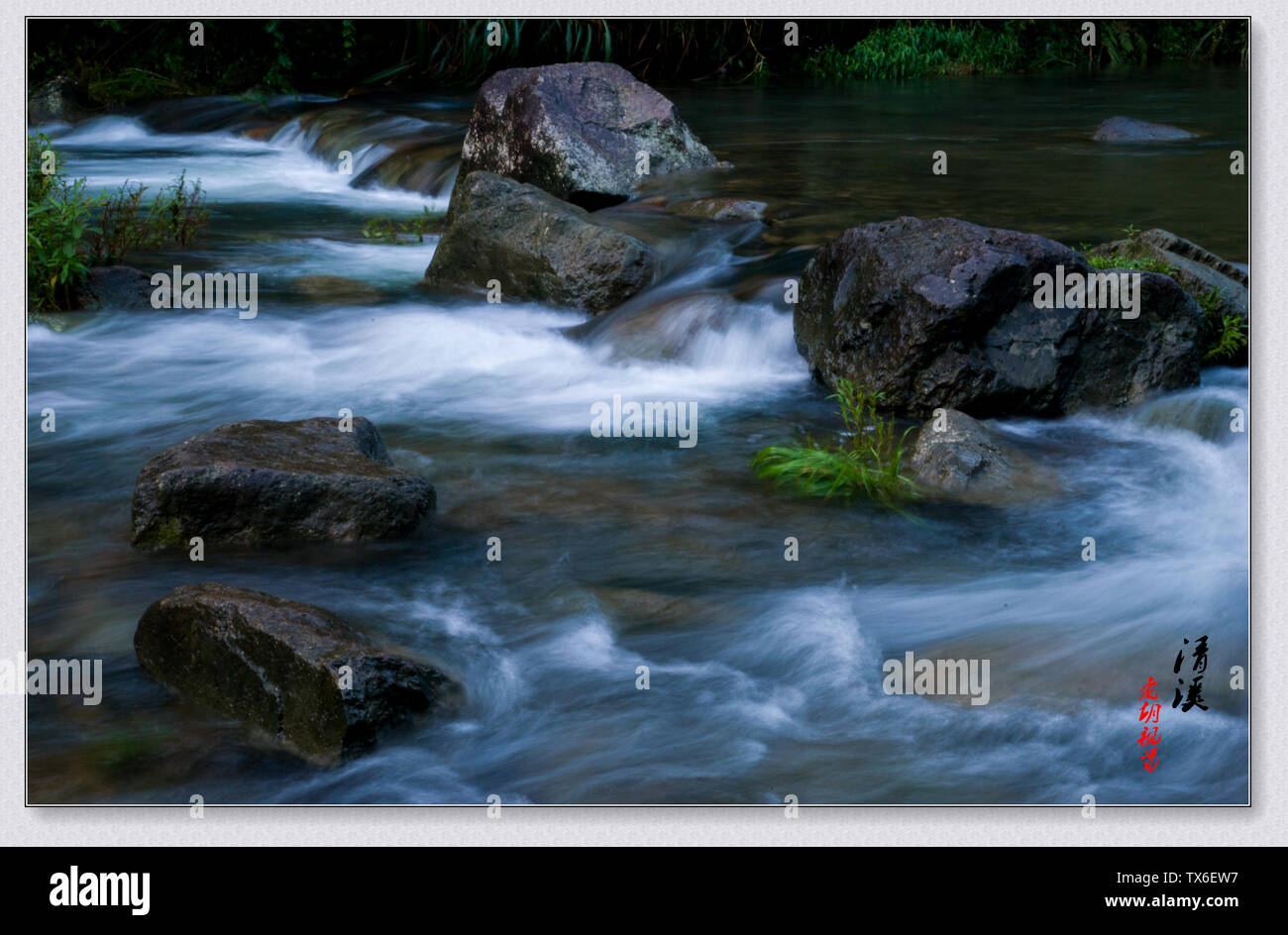 Qingqing hi-res stock photography and images - Alamy