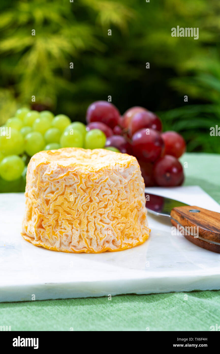 Langres, French cow milk soft cheese, creamy and crumbly with white ...