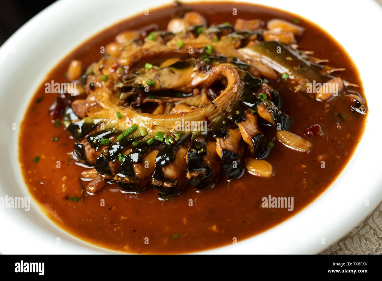 Hairy fish hi-res stock photography and images - Alamy