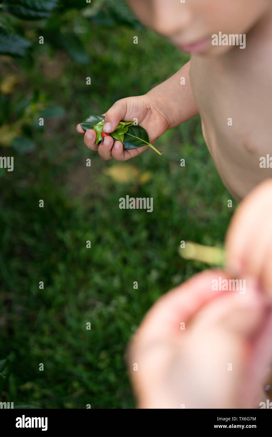 Child holding a leaf hi-res stock photography and images - Alamy