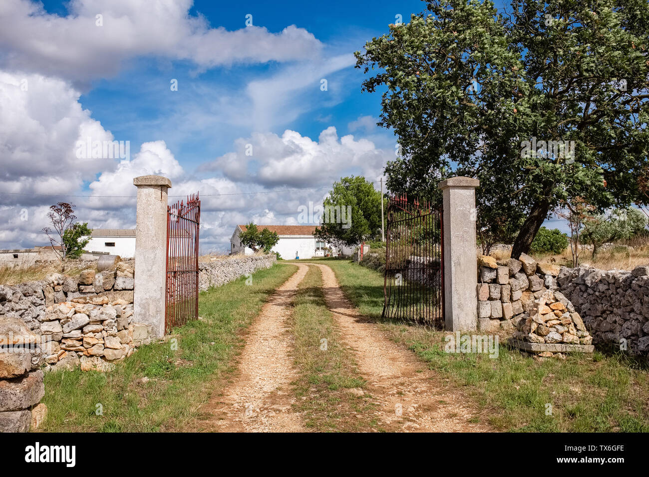 Country fence gate of an old typical farmhouse. Apulia region, Italy ...