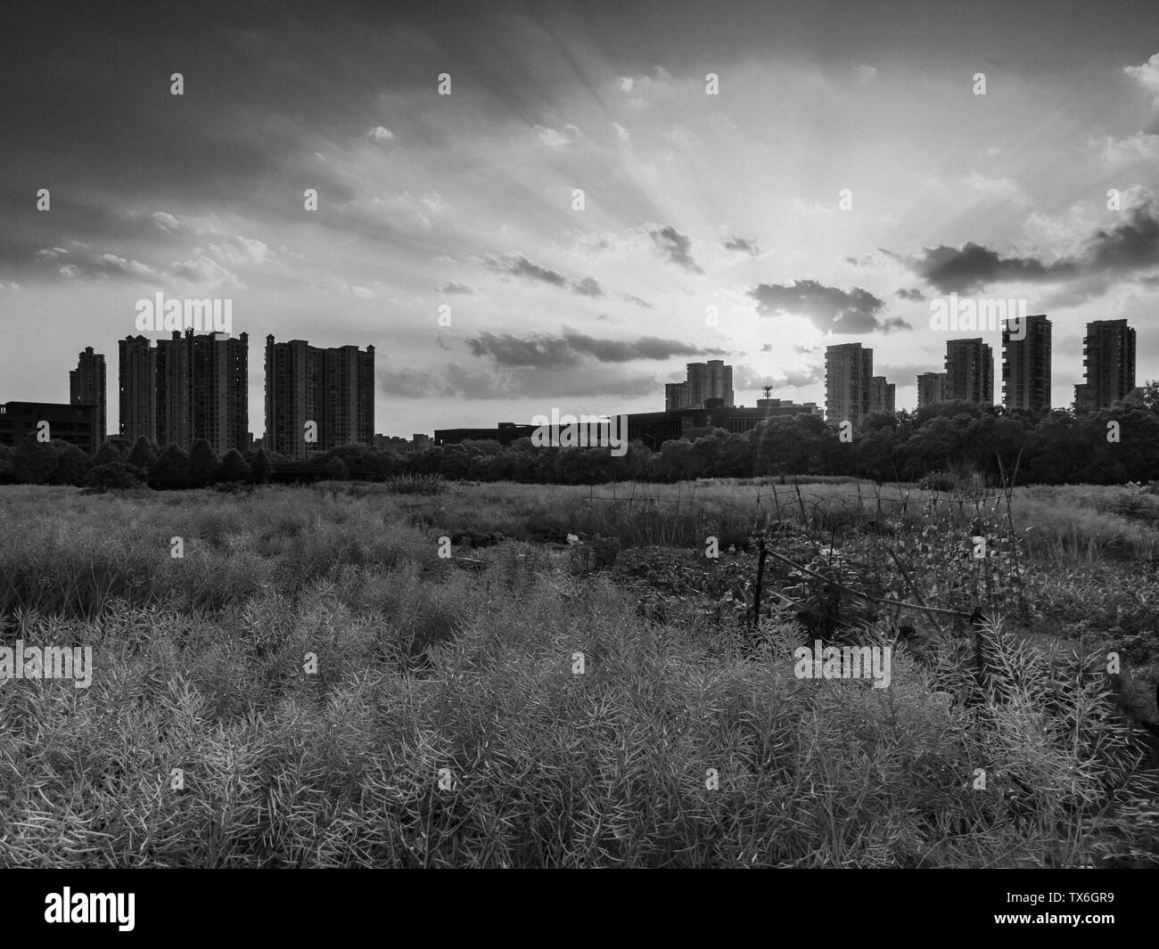Cities and fields Stock Photo - Alamy
