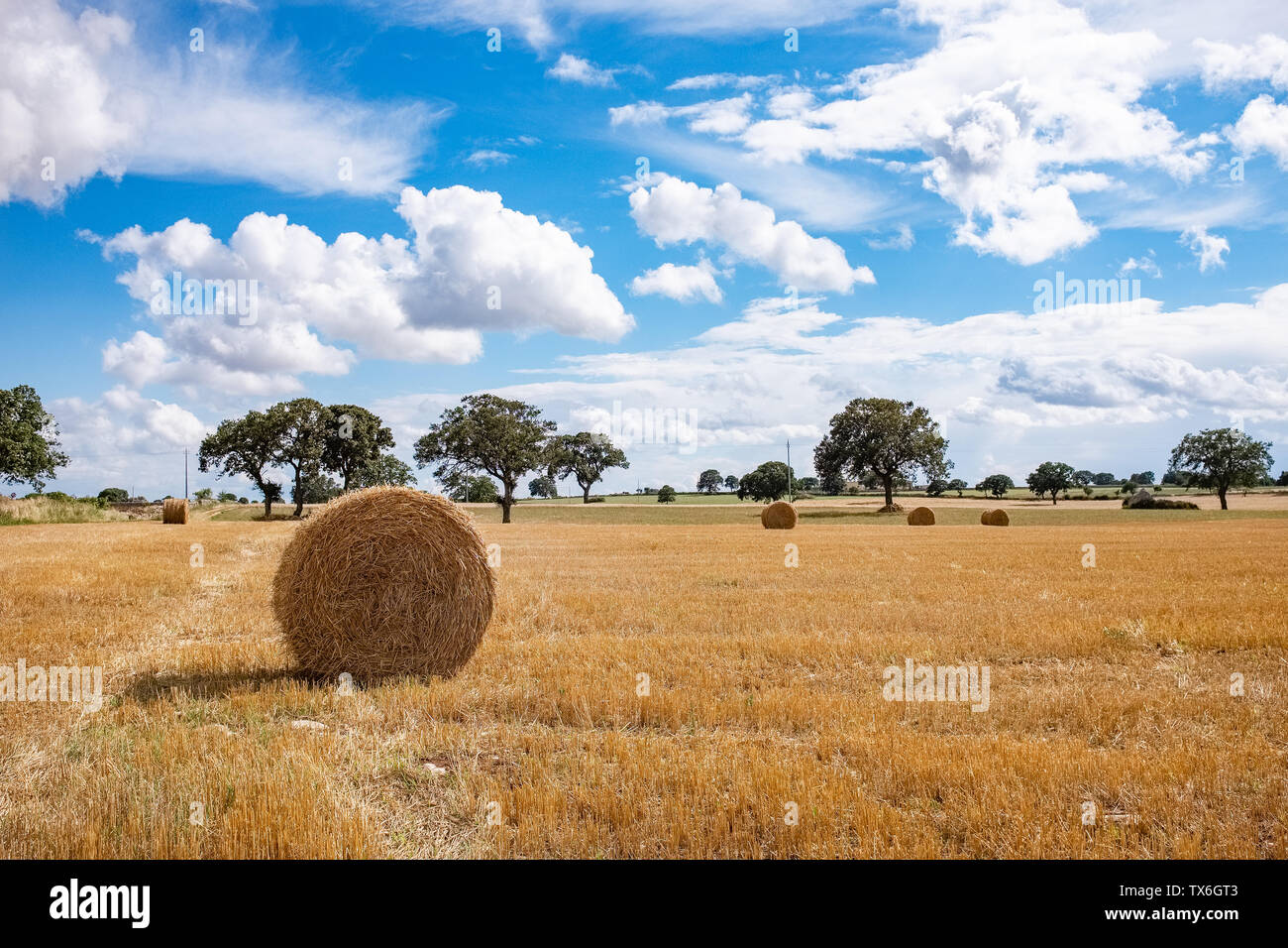 Gioia del colle hi-res stock photography and images - Alamy