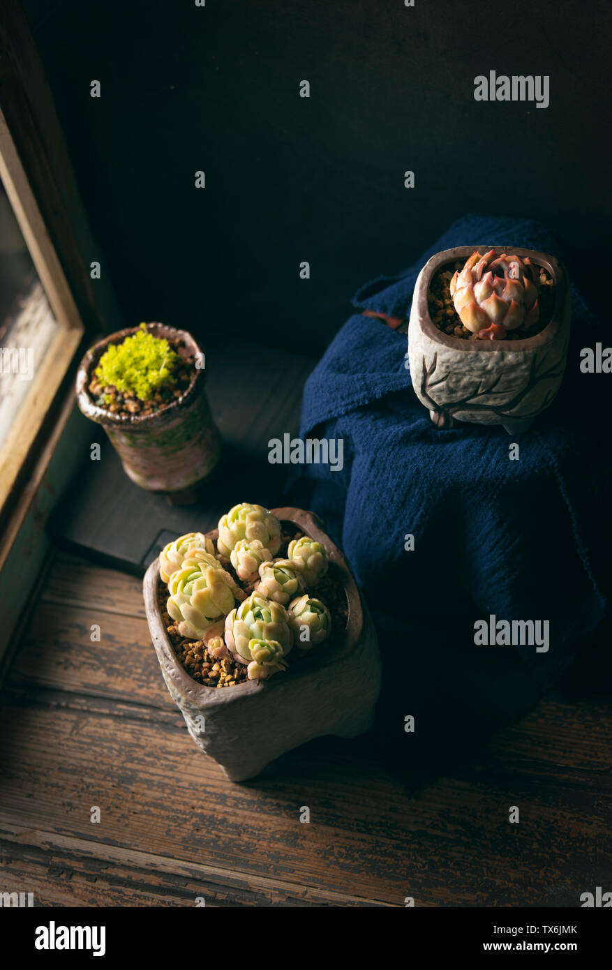 Fleshy food hi-res stock photography and images - Alamy