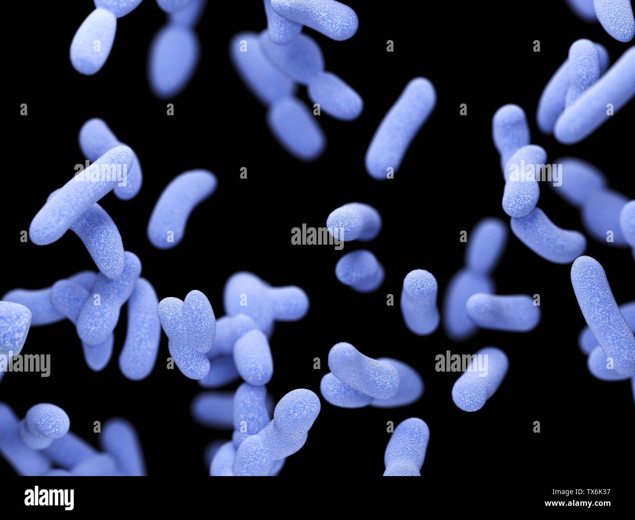 3d rendered illustration of bacteria Stock Photo - Alamy