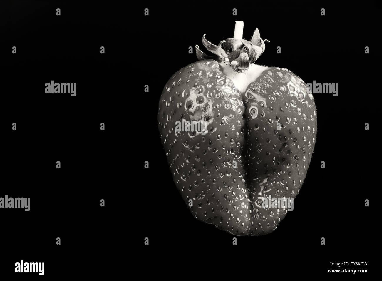 Close up, monochromatic image of an unusual strawberry fruit looking ...